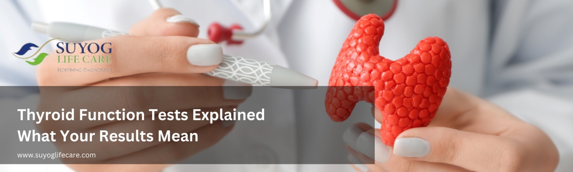 Thyroid Function Tests Explained: What Your Results Mean – Suyog Life Care